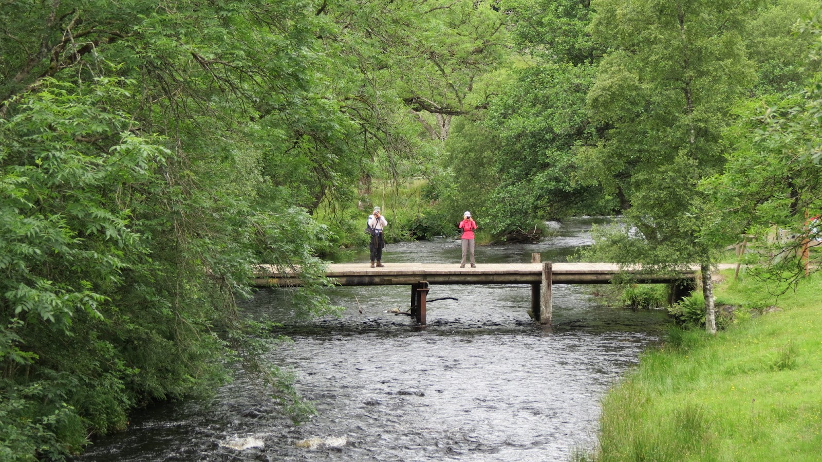 The Glebe Blog: Wigtownshire Ramblers - Hills of Glenmount ...