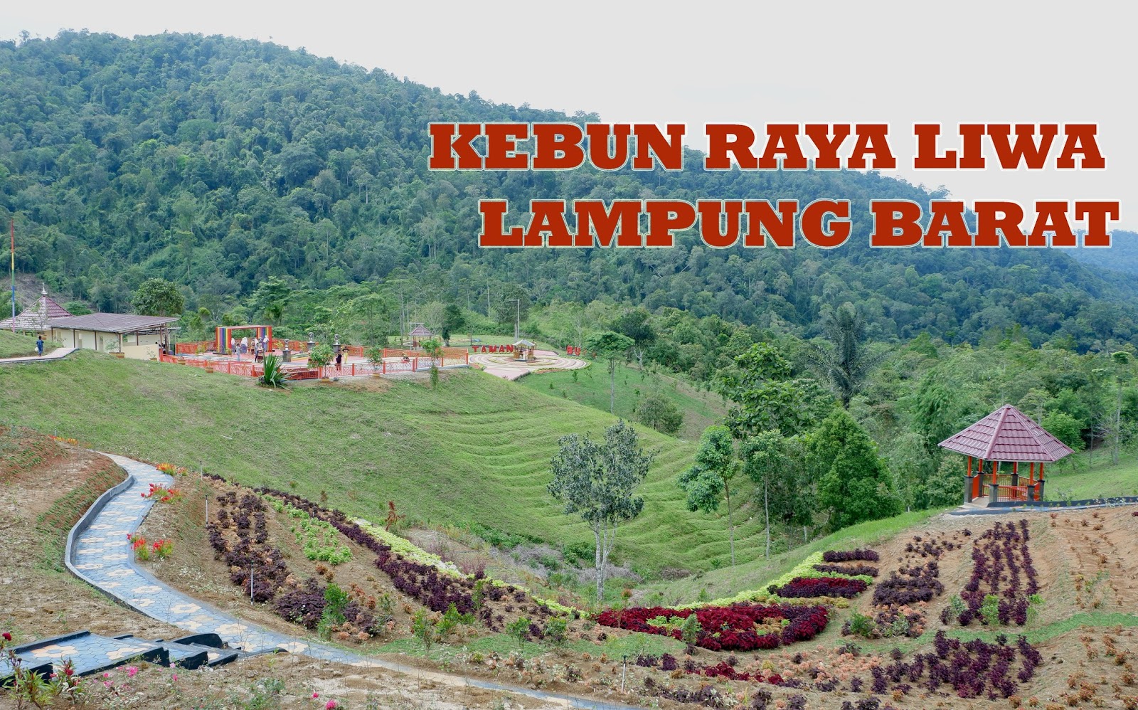 USAI PENANTIAN 10 TAHUN, LAMPUNG RESMI MEMILIKI KEBUN RAYA LIWA ...