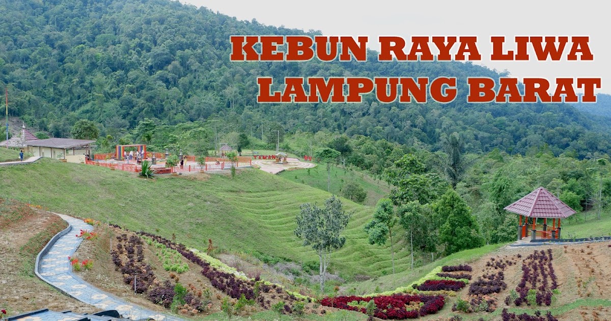 USAI PENANTIAN 10 TAHUN, LAMPUNG RESMI MEMILIKI KEBUN RAYA LIWA ...