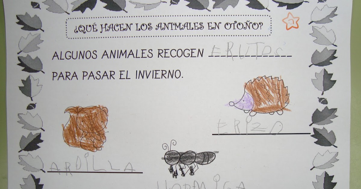 Plastificando ilusiones: ¿Qué hacen los animales en el otoño?