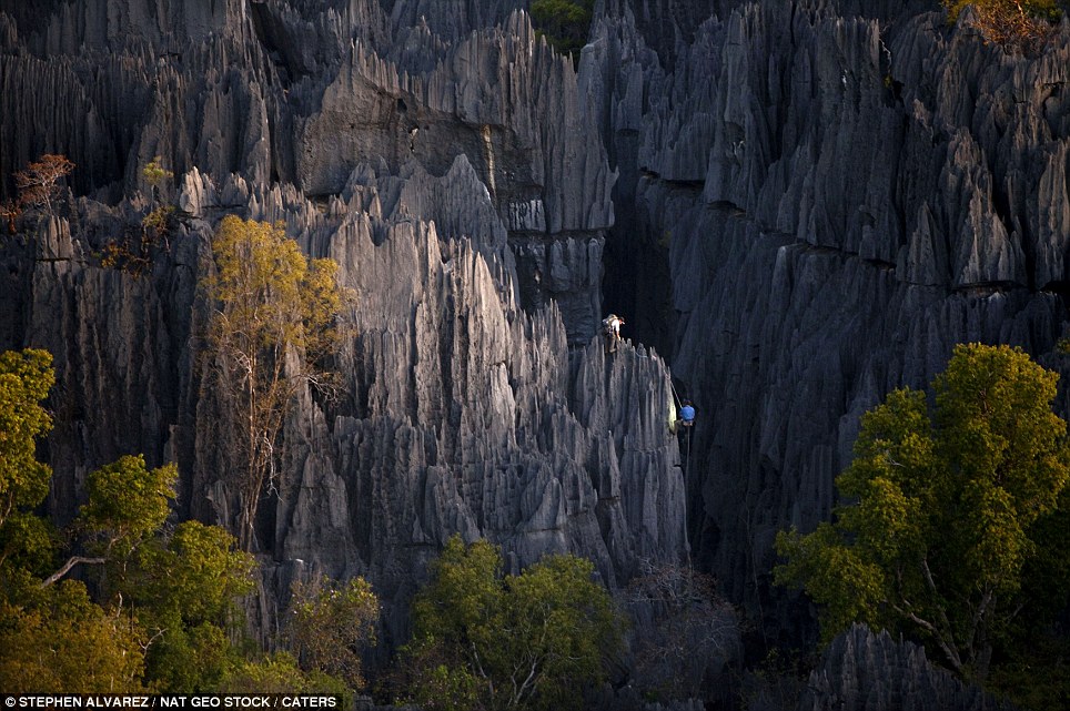 The animal zone: Life on the edge: Inside the world's largest STONE ...
