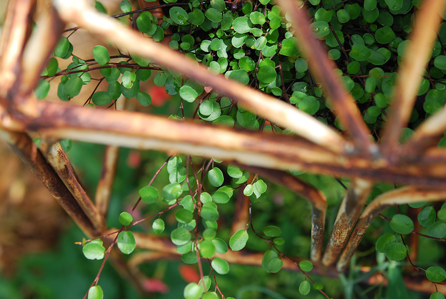 Romantic Wire Vine - Jill Ruth & Co.