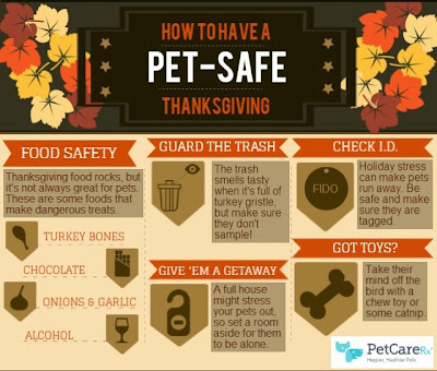 Bregman Veterinary Group: Keep Your Pets Safe and Happy this Thanksgiving