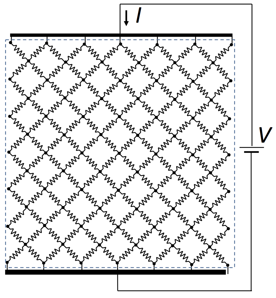 Intermediate Physics for Medicine and Biology: Anisotropy in ...