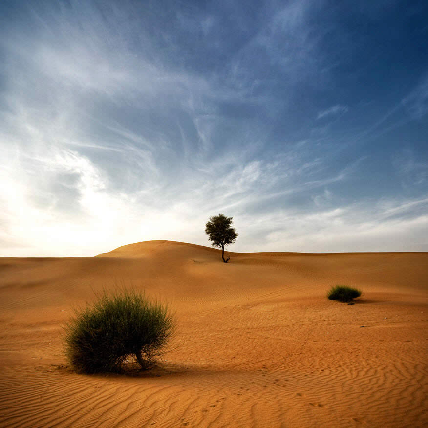best photos 2 share: 8 Picture Examples of Desert Photography