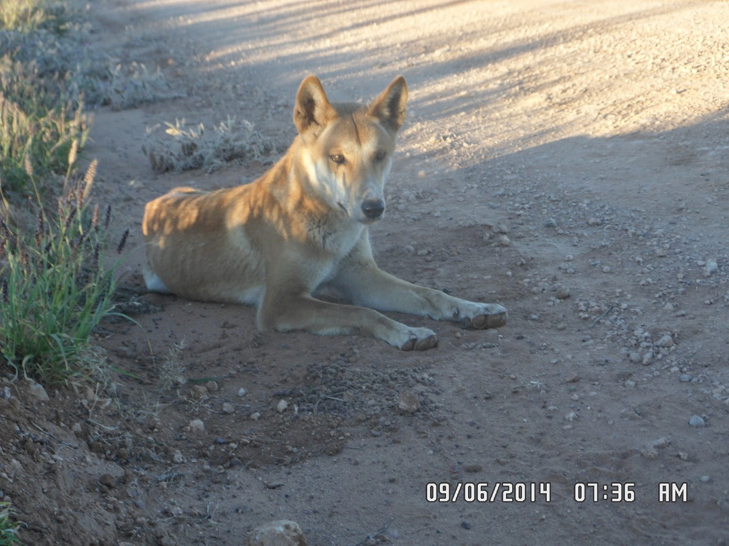 Vannessa's Story: June 2014