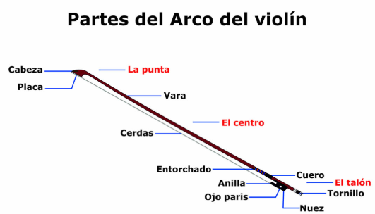 El blog ambulante: Partes del violin