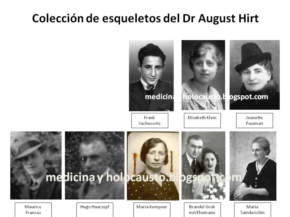 La colección de esqueletos del Dr. August Hirt en la Facultad de ...