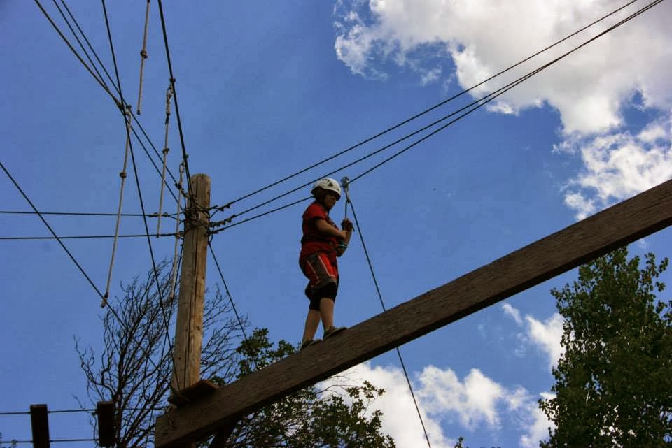 The Art of Life: Why Girl Scout Cookies?