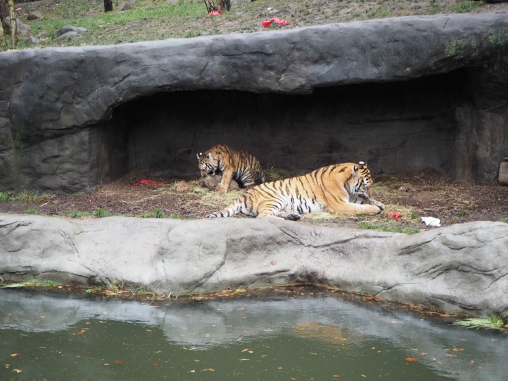 Tierpark Hagenbeck - Hamburg Zoo And Tropical Aquarium Review - The ...