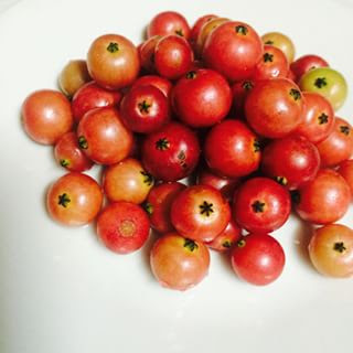 Kem's Entrée Meal: FUTURE!!!