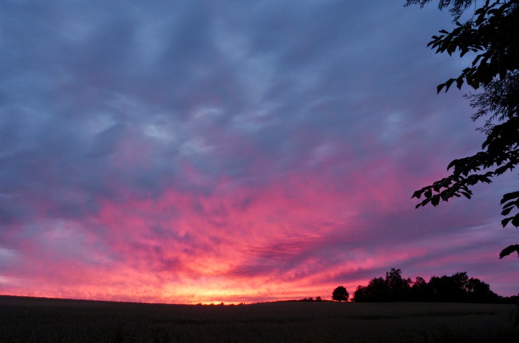 Høneballehaven på Samsø: Jubiii endelig regn