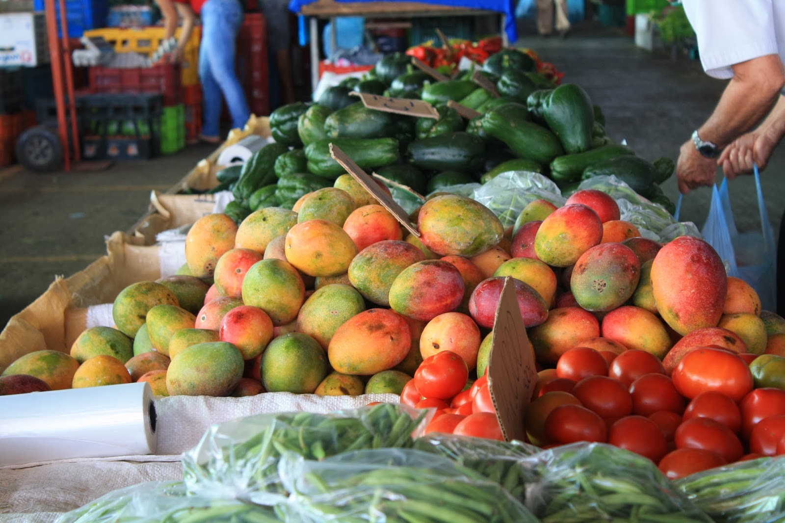 Mangoes Season In Costa Rica at Katie Kendall blog