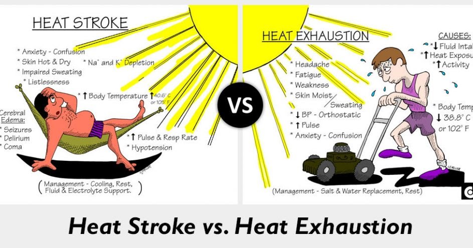 Infographic Heat Exhaustion Or Heat Stroke A Guide Summer Is Here And