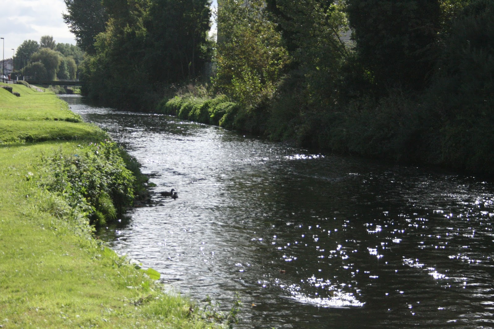 Tamed: Holford and Holford Mill