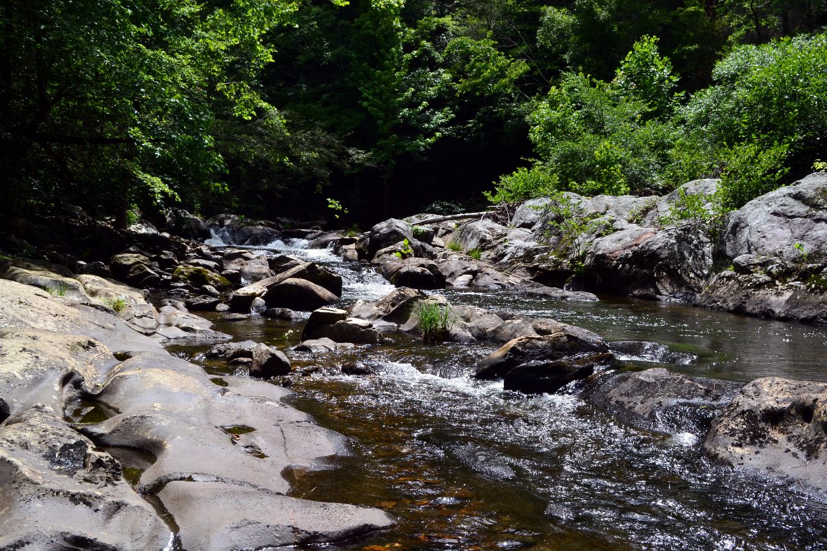 Conasauga River | Cohutta Wilderness (Pic Heavy) | GON Forum