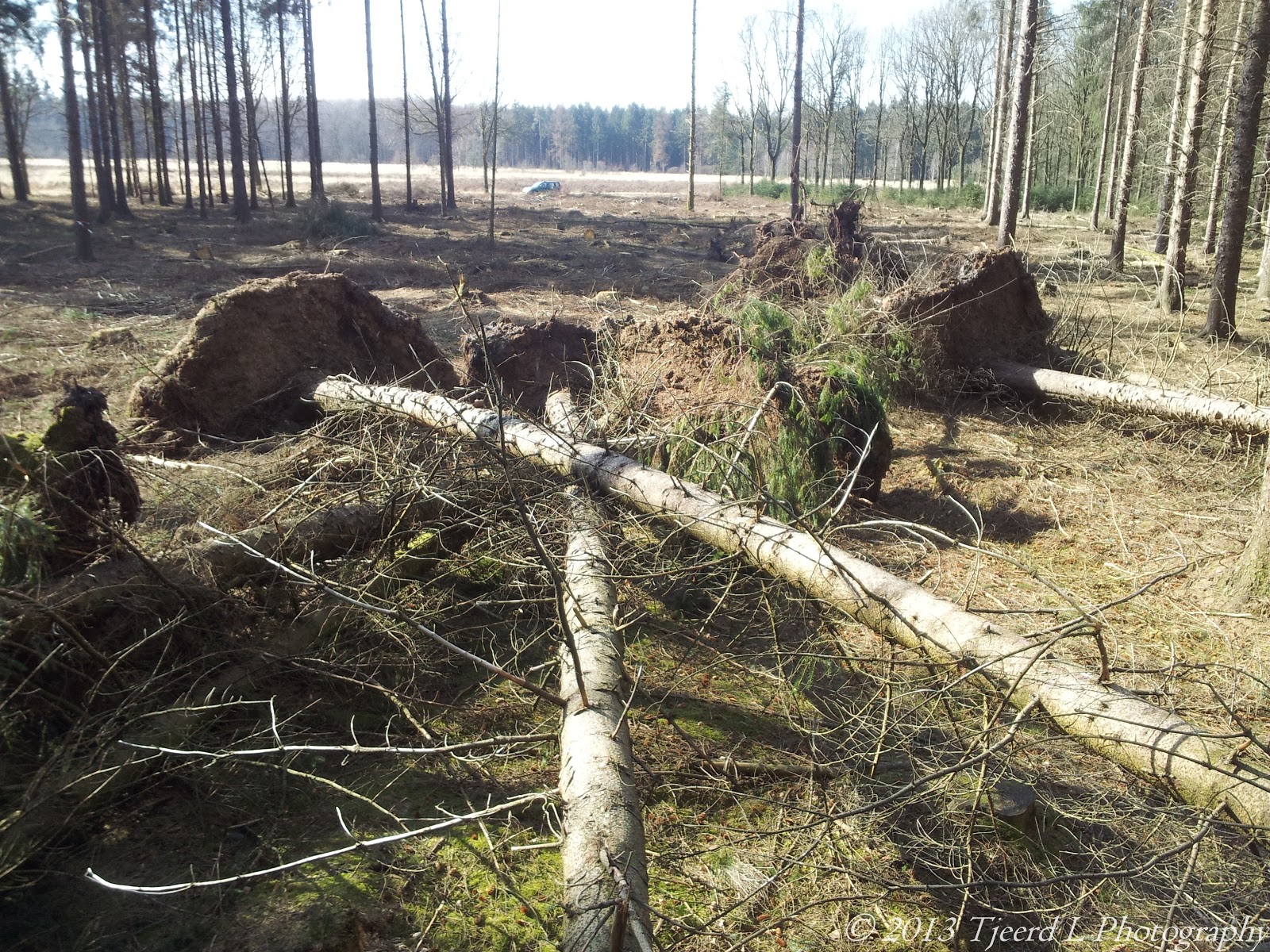 Beleef de natuur: Verwoesting van de natuur