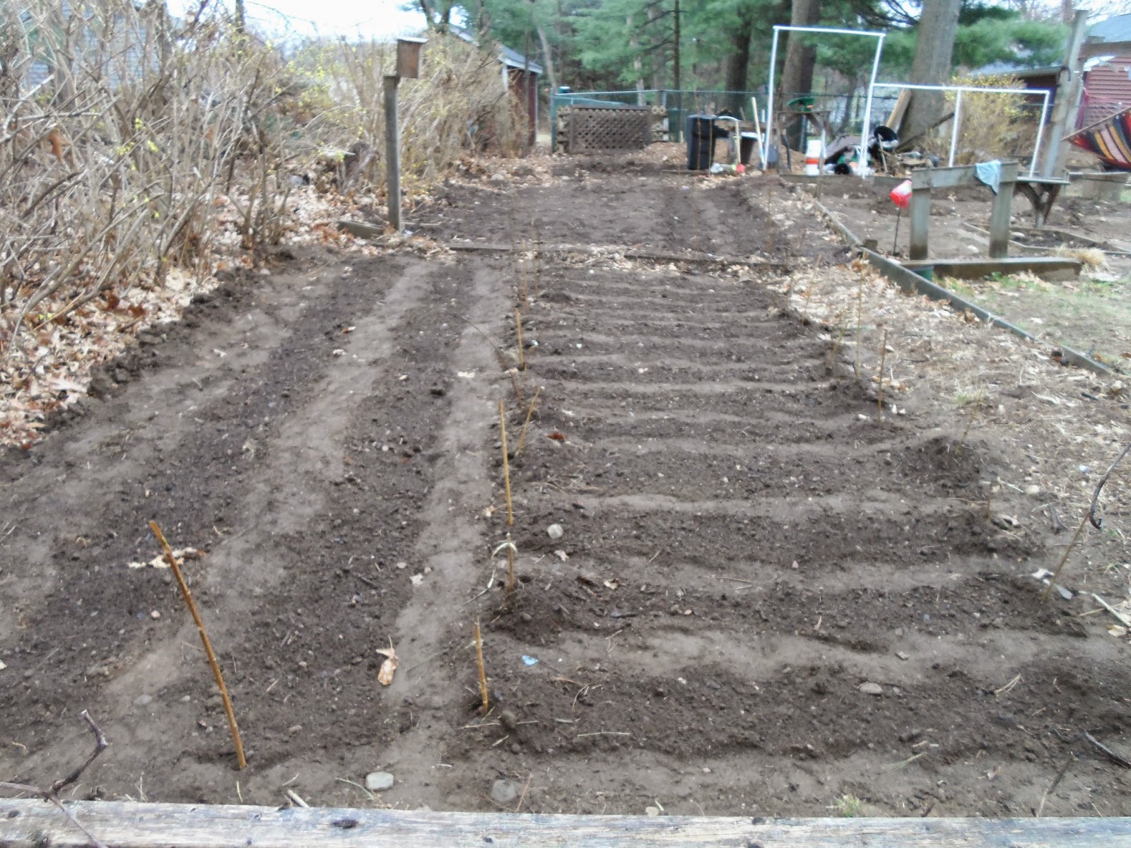 The Backyard Diaries: Digging Out The Beds and Making Fluffy Soil