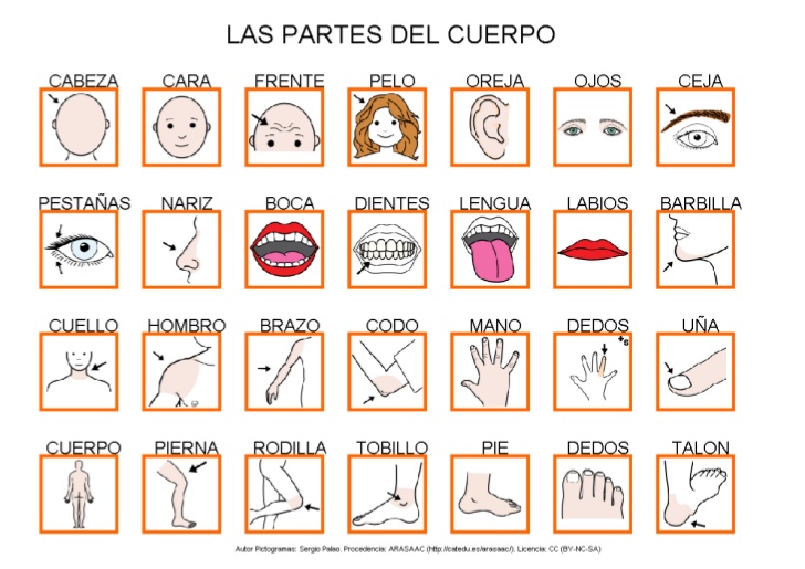 MUNDOHISPANICO2 : VOCABULARIO: EL CUERPO, DESCRIPCIÓN FISICA Y PERSONALIDAD