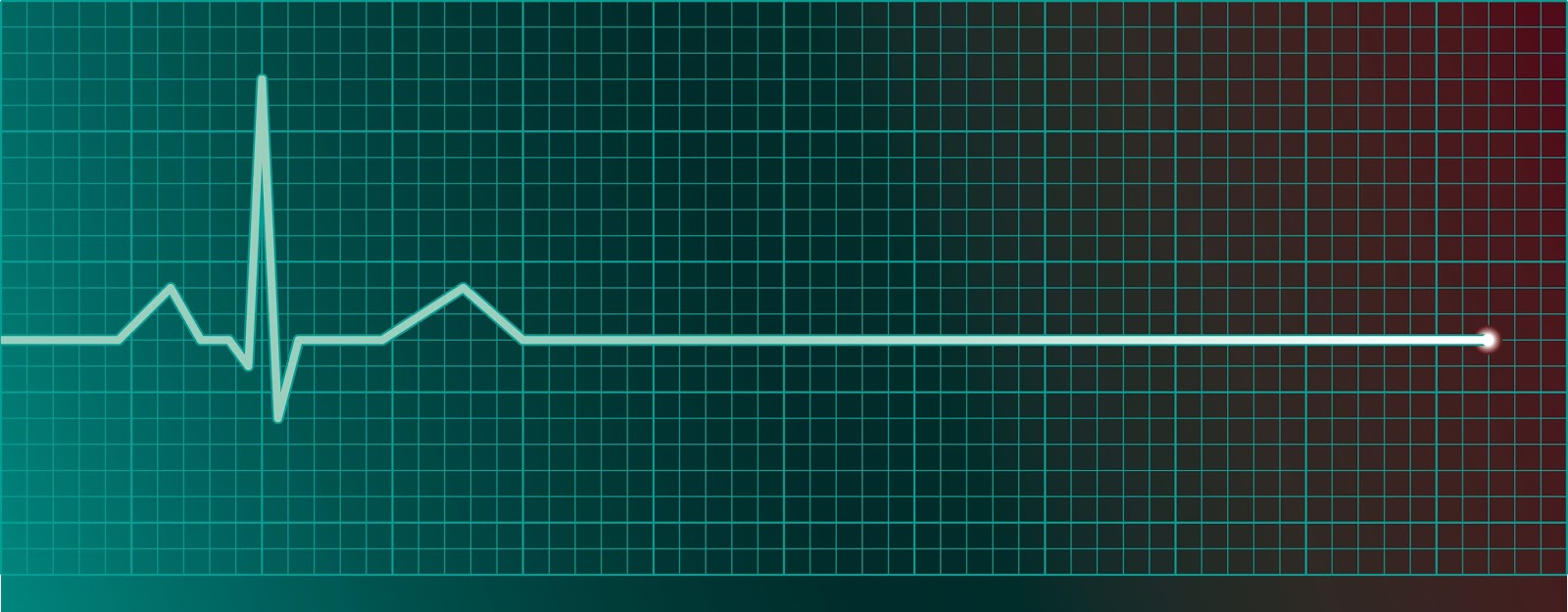 Dana's Magic and Mayhem: New Contract, and Brain Drain