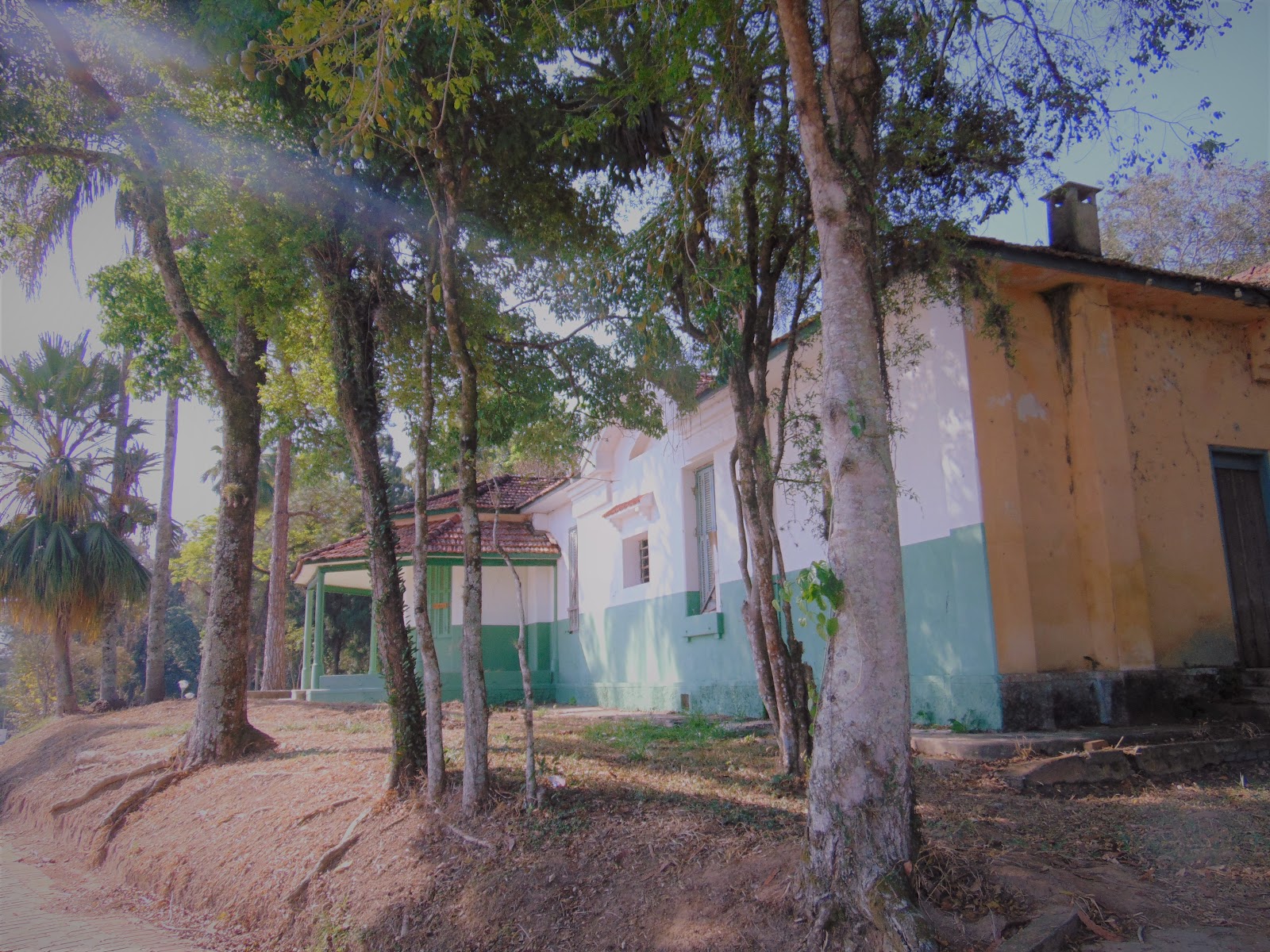 Parque da Cidade - Pindamonhangaba - SP