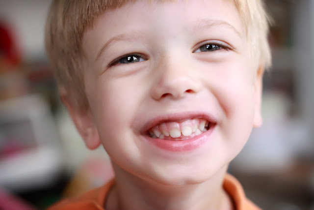 Andrea Finnegan Photography