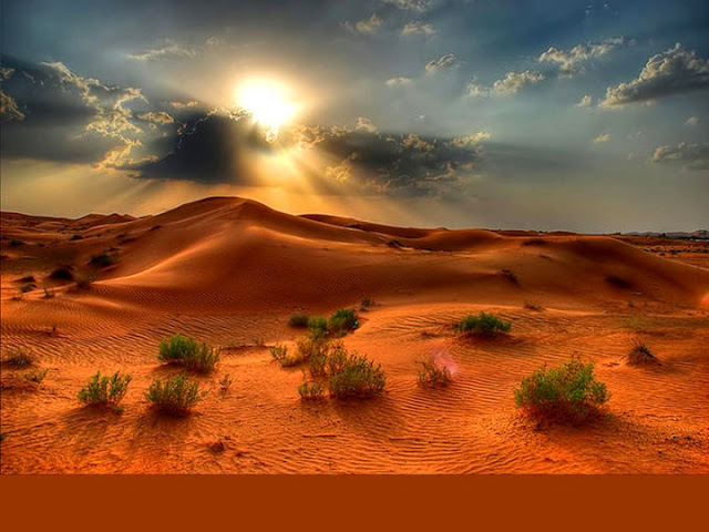 Best WallPapers: Desert Scene Wallpapers