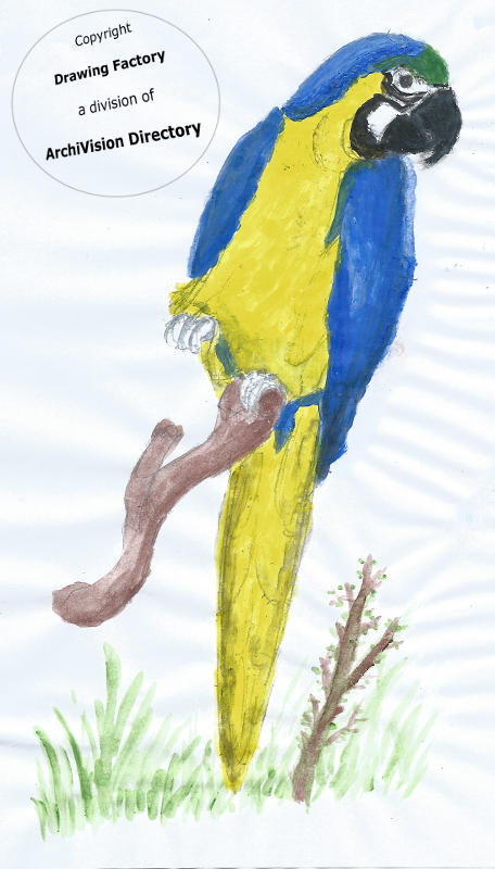 Drawing Factory your source for free drawings - designed by WM: Blue ...