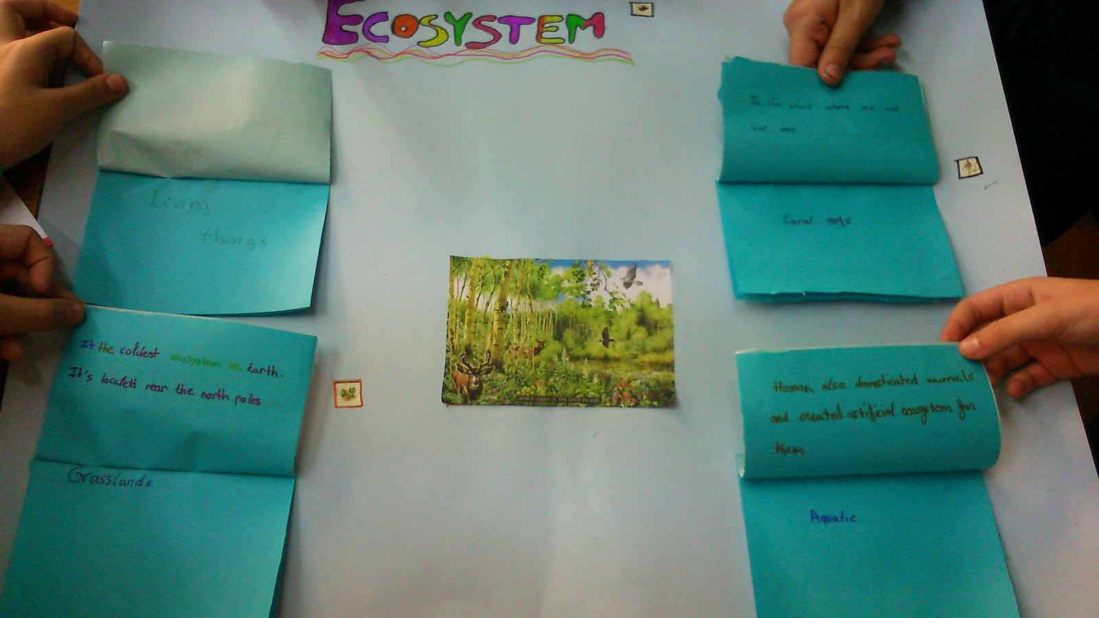 SOCIAL AND NATURAL SCIENCE 5 TH GRADE: UNIT 5. ECOSYSTEMS