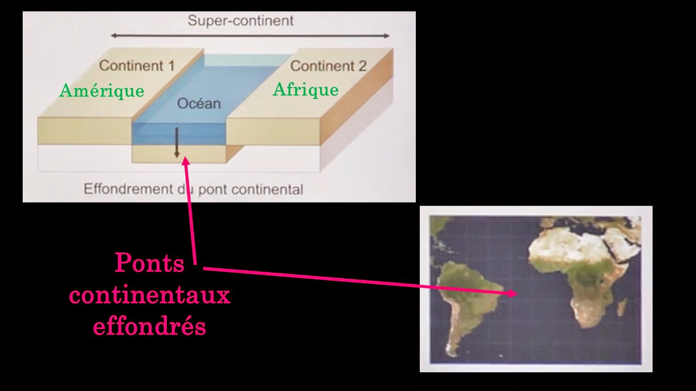 Le labo d'Anissa - SVT: Chapitre 1 : Naissance de la théorie de la ...