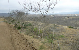 NephiCode: The Jaredite Lands in the Land Northward-Part II