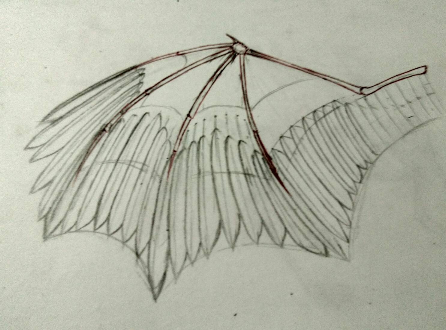 Drawing 101: Demon + Angel Wing [Ioji's Wings] - Owlion Chronicles