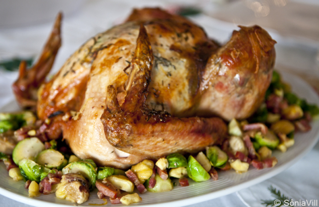 GASTRONOMIA - RECEITA PERU DE NATAL - BLOG DA CLAUDIA PAES