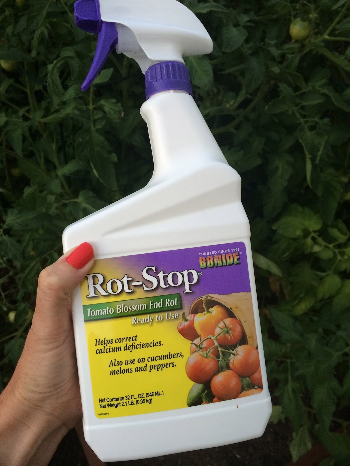 The Larson Lingo: 2015 Garden {Month 3} + A Winner!