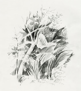 My Art Blog: Matthew Brehm