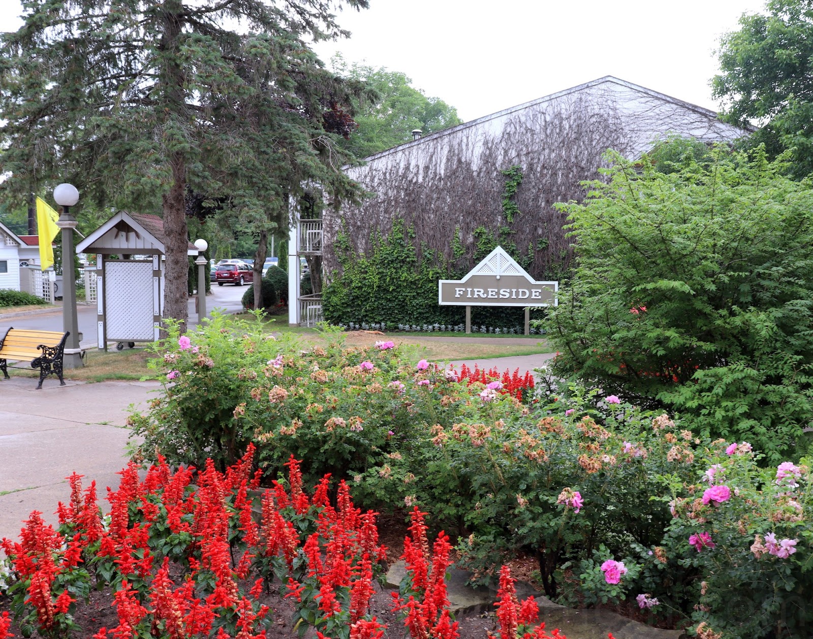 Create With Mom: Always thinking of the next fun thing to do at Fern ...