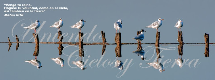 Simplemente MI MUNDO!: VERSICULOS DE LA BIBLIA