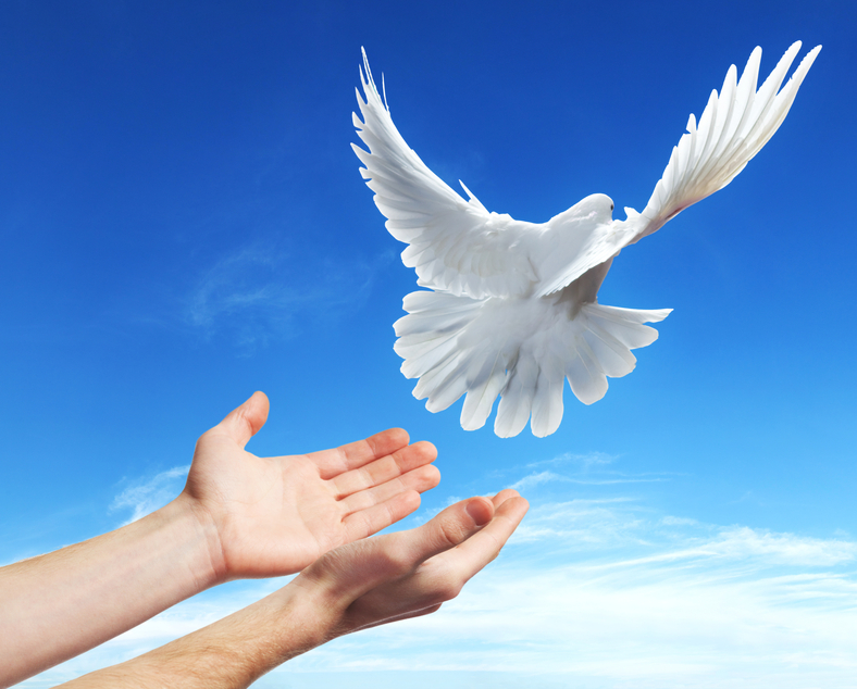 CULTURA Y SANA CONVIVENCIA