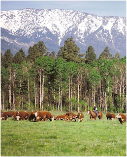 Rural Futures Lab: The New Natural Resource Economy and Rural Economic ...