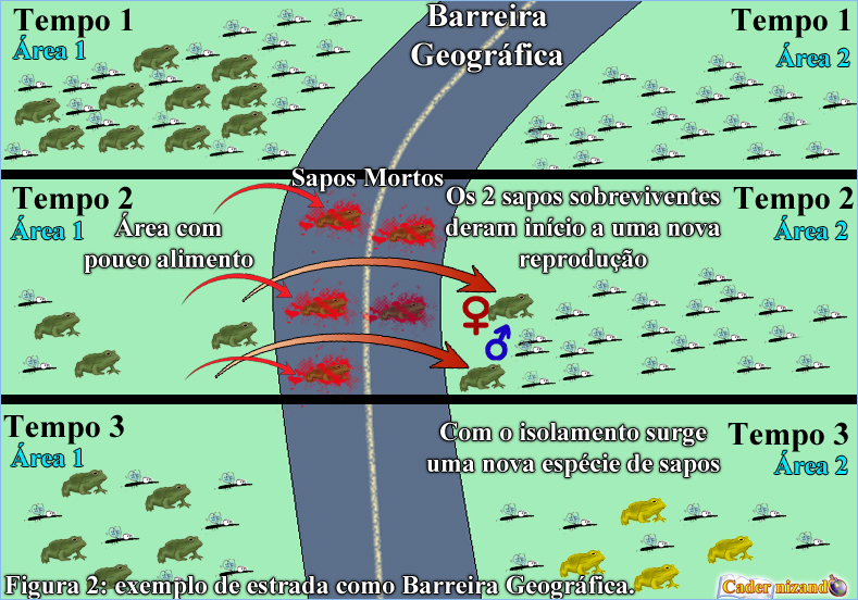 Cadernizando: Barreira Geográfica