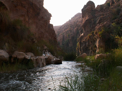 al-hasa - JungleKey.fr Image