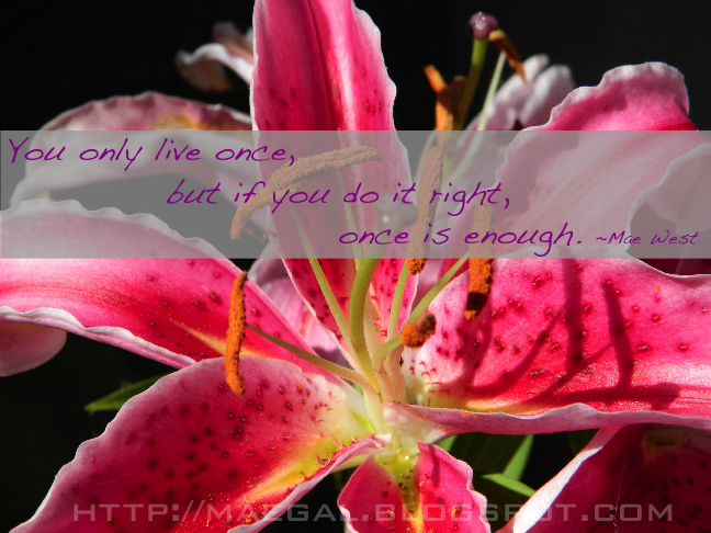 Lily Flower Quotes. QuotesGram