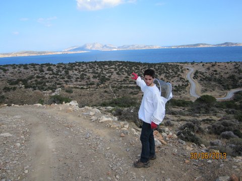 ΜΕΛΙΣΣΟΚΟΜΙΑ ΝΑΞΟΥ-NAXOS BEE