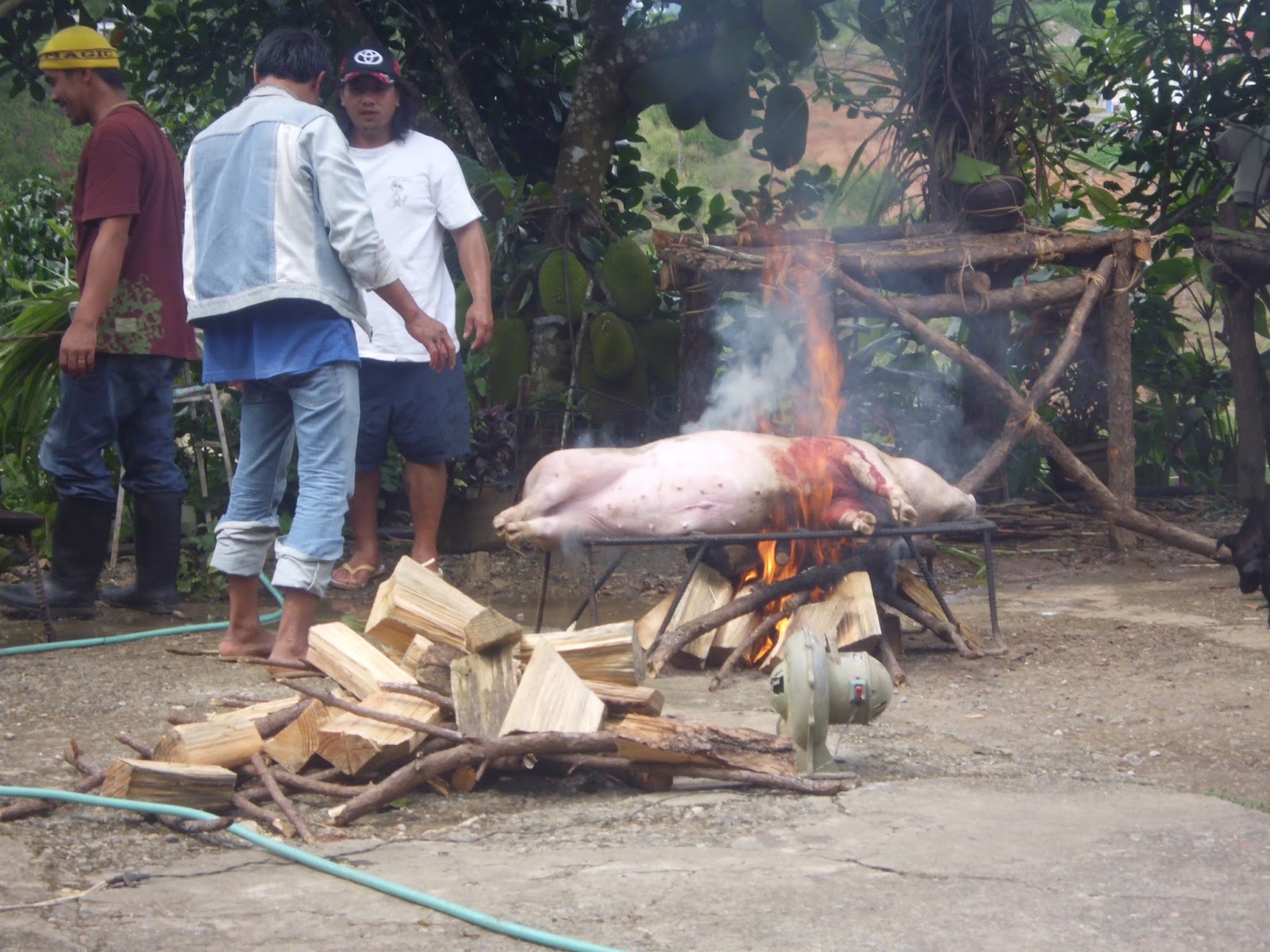 Granted Heritage of Our Ancestors: Ibaloi Tradition(Cañao)