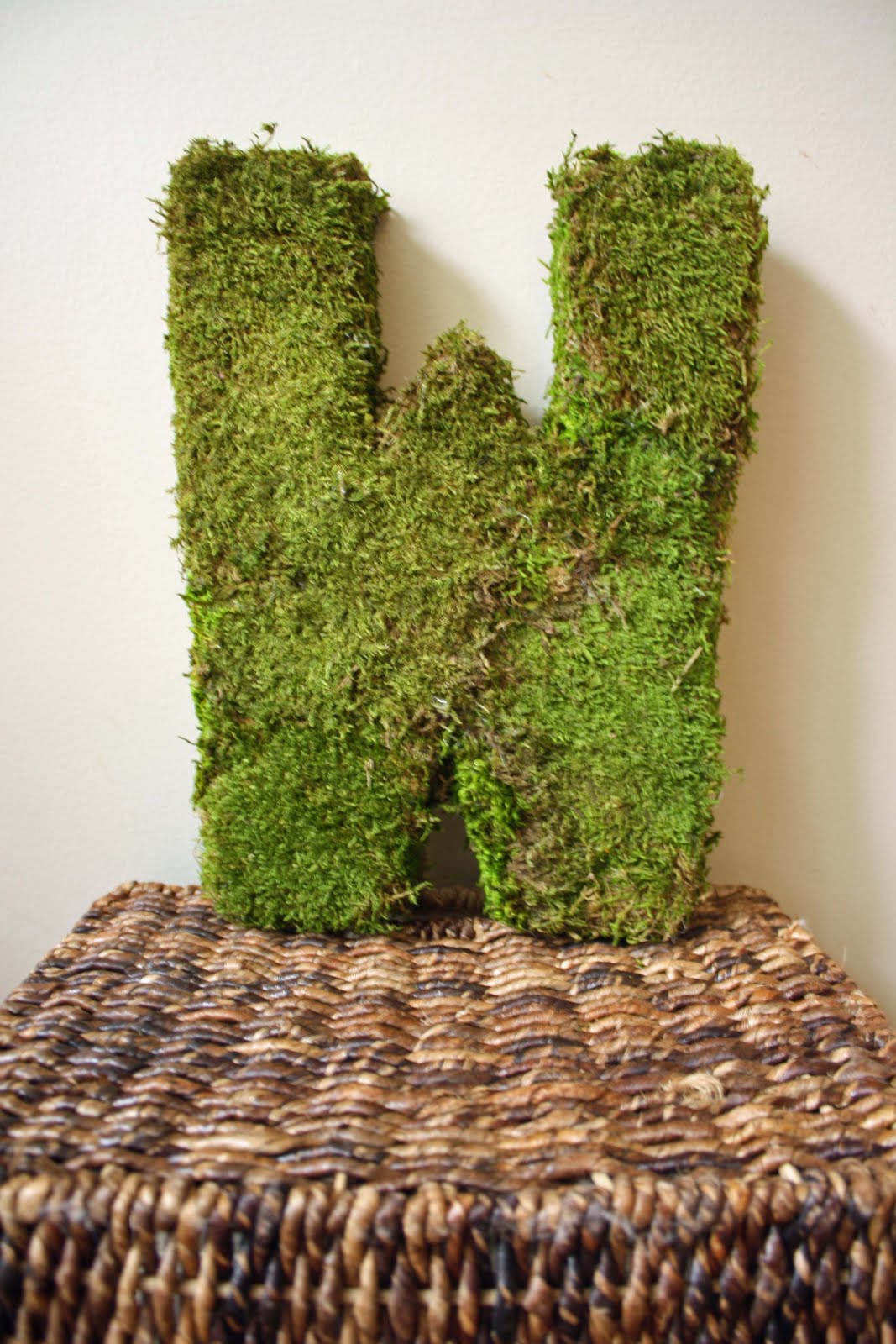 dwell and tell: Honey, You Mossed Try It! - (DIY Moss Letter)