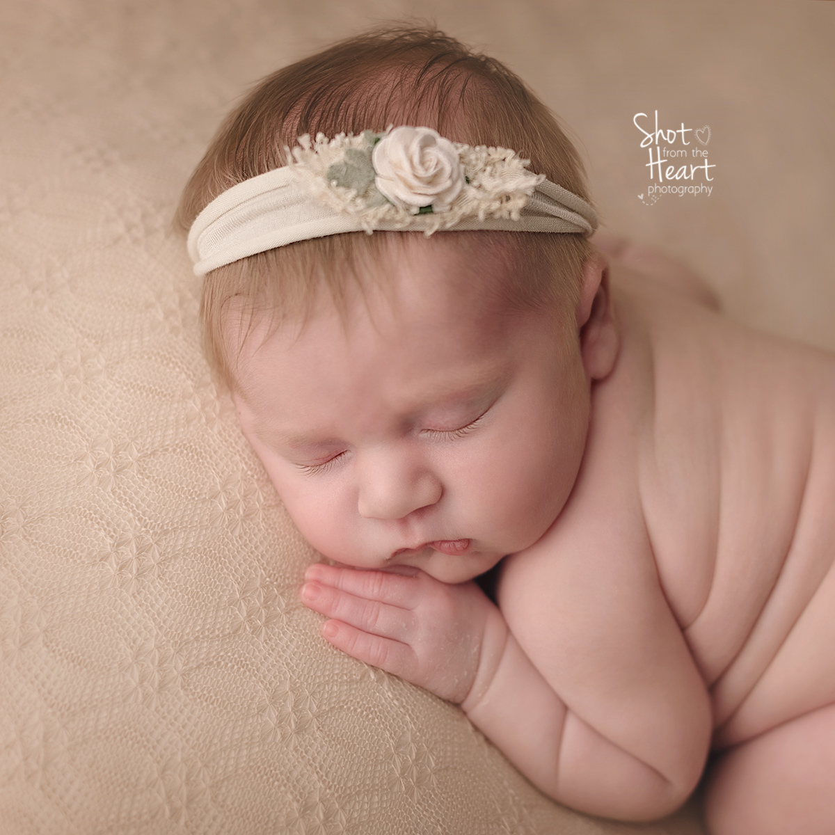 Questions You Should Ask Your Newborn Photographer Shot From The questions-you-should-ask-your-newborn-photographer-shot-from-the