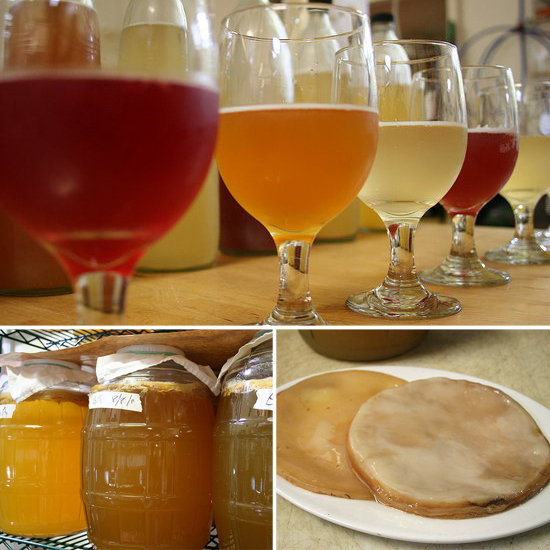 kombucha tea benefits