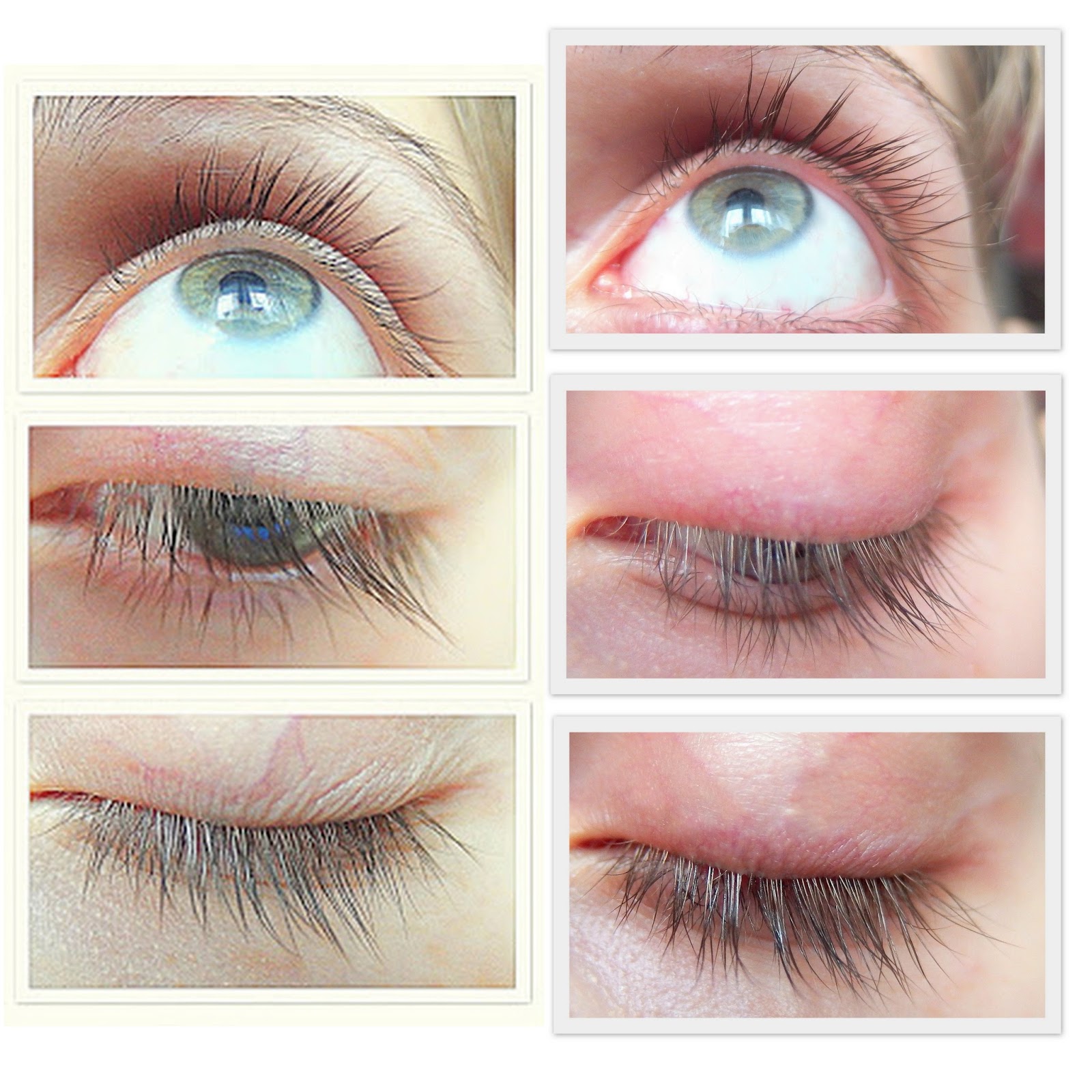 4 Long Lashes - efekty kuracji | The beauty guardian