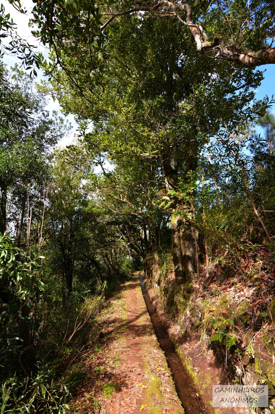 Caminheiros Anónimos Levadas da Madeira : Levada Grande (Achadas da Cruz)
