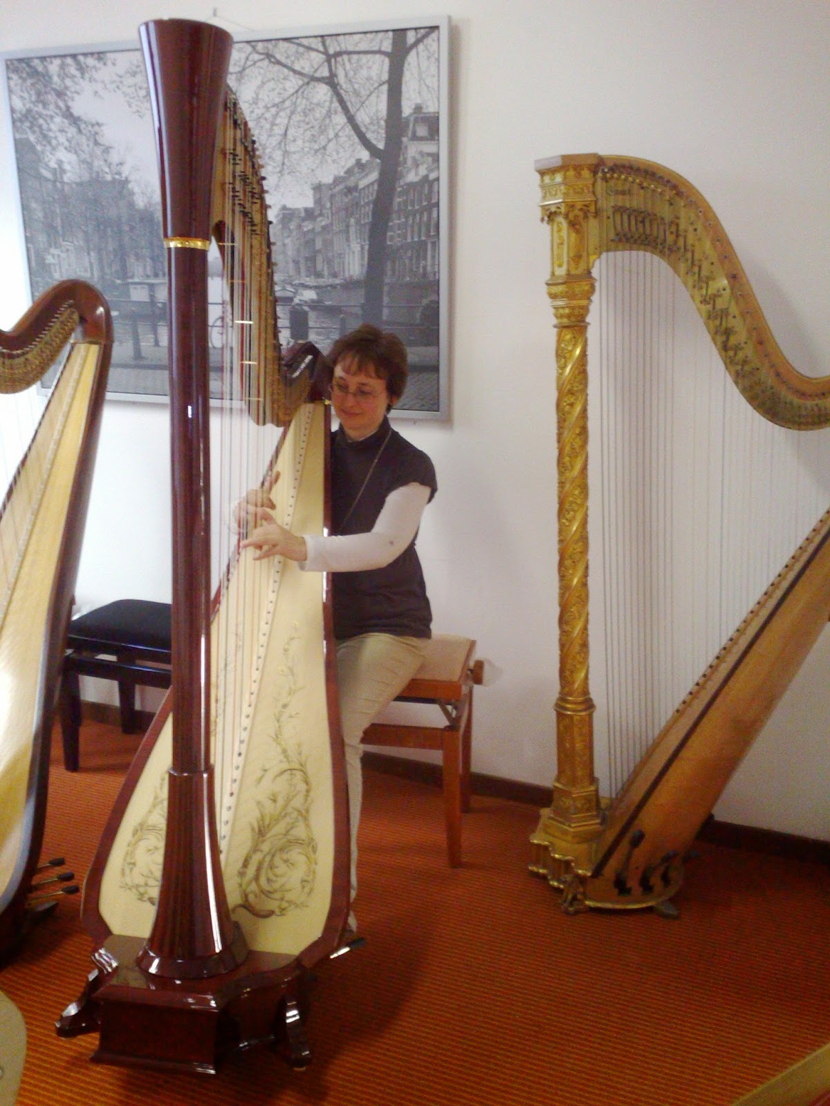 BLOGARPA: Breve storia dell'arpa per le scuole elementari e medie